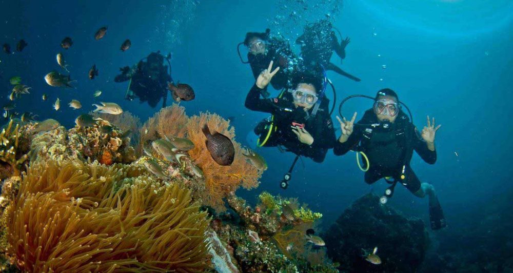 Best Things to Do on Redang Island for Travelers